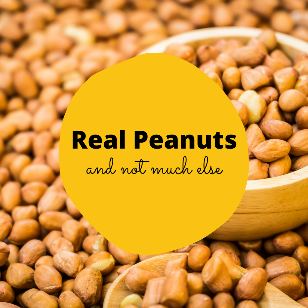 Mini Peanut Butter Bars – Numa Foods